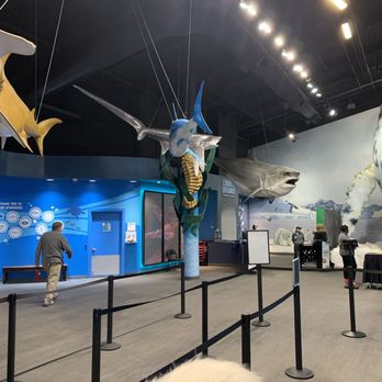 NEWPORT AQUARIUM - Updated January 2025 - 1112 Photos & 465 Reviews - 1 ...