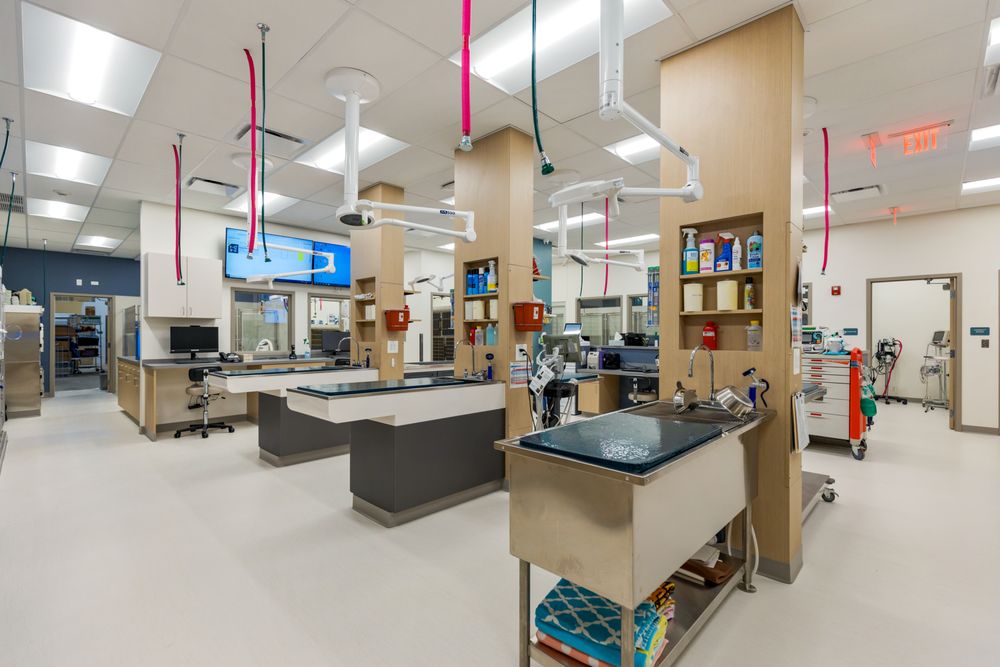 Premier Veterinary Group - Mundelein - Updated June 2026 - 38 Photos ...