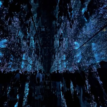 MERCER LABS - 93 Photos & 27 Reviews - 21 Dey St, New York, New York ...