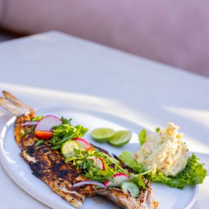 LENNOX POLLO - Updated June 2024 - 36 Photos & 90 Reviews - 10822 S ...