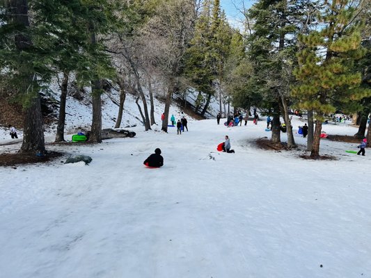 APPLE TREE CAMPGROUND - Updated December 2025 - 22 Photos - Wrightwood ...