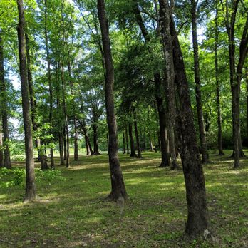 MCDADE PARK - Updated October 2025 - 16 Photos - 10310 Fm 2854, Conroe ...