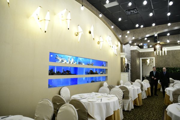 ORIENT BISTRO FINE CHINESE DINING AND BAR - 422 Photos & 60 Reviews ...