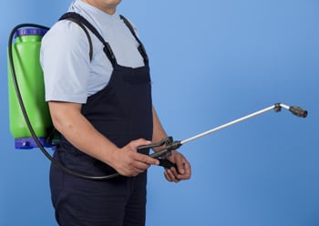 BUG DOCTOR - Updated October 2025 - 71 Reviews - Denver, Colorado ...