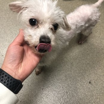 CMPD ANIMAL CARE AND CONTROL - Updated October 2025 - 34 Photos & 30 ...