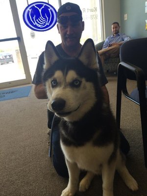 ALLSTATE INSURANCE: KURT WICKS - Updated December 2025 - 26 Photos ...