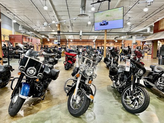 Harley Davidson Tampa Florida