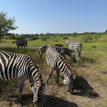 BLUE HILLS RANCH - Updated January 2025 - 216 Photos & 73 Reviews ...