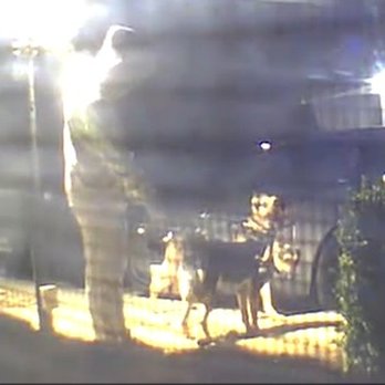 REALMANAGE DALLAS - Updated January 2026 - 22 Photos & 60 Reviews ...