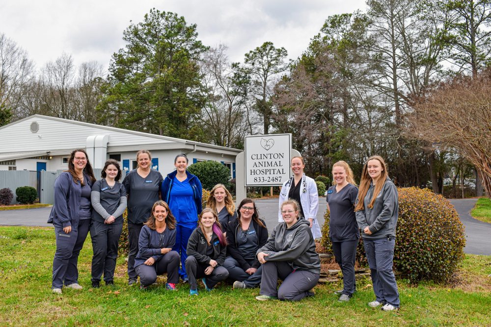 CLINTON ANIMAL HOSPITAL - Updated November 2025 - 25 Photos & 13 ...