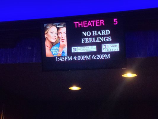 RIVERSIDE CINEMA - Updated October 2025 - 50 Photos & 62 Reviews - 1650 ...