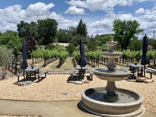 SECRET RAVINE WINERY - 48 Photos & 48 Reviews - 4390 Gold Trl Way ...