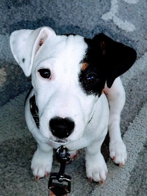 MUV DISPENSARY - SPRING HILL - Updated December 2025 - 90 Photos & 14 ...