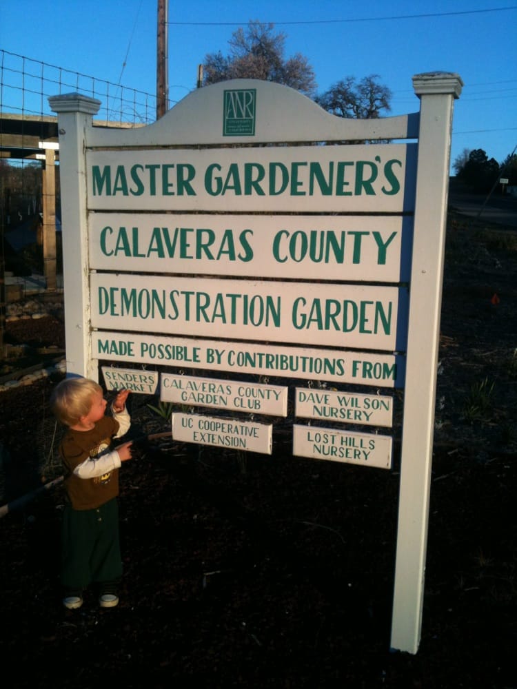 MASTER GARDENERS CALAVERAS COUNTY DEMONSTRATION GARDEN - Updated December 2025 - 891 Mountain ...