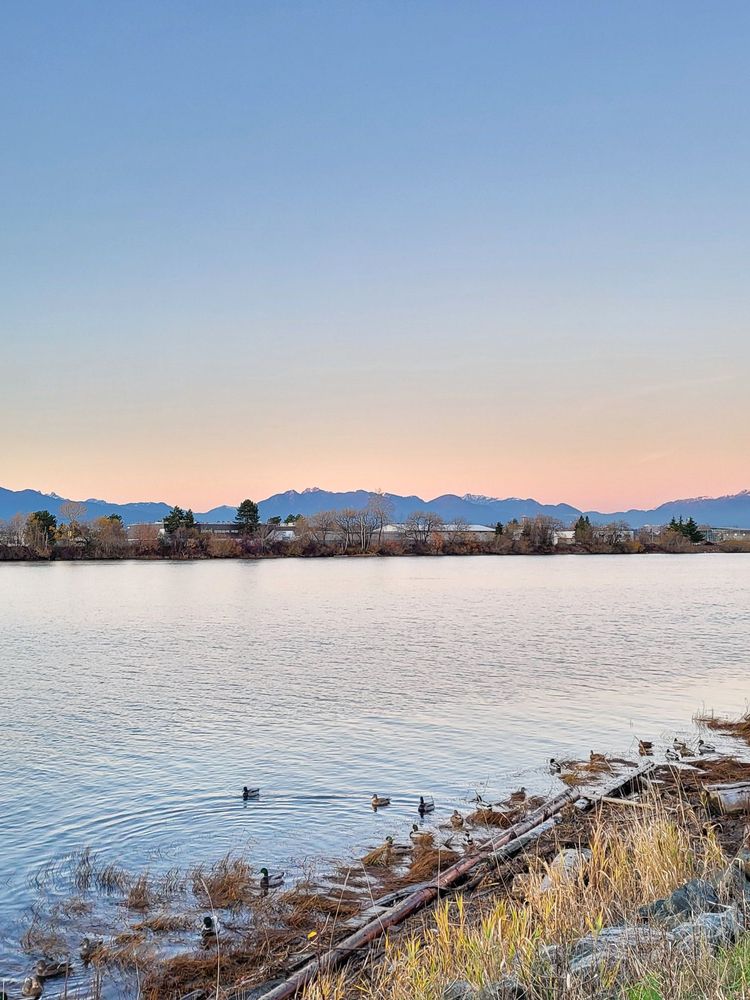 MIDDLE ARM WATERFRONT GREENWAY - Updated December 2025 - 18 Photos ...