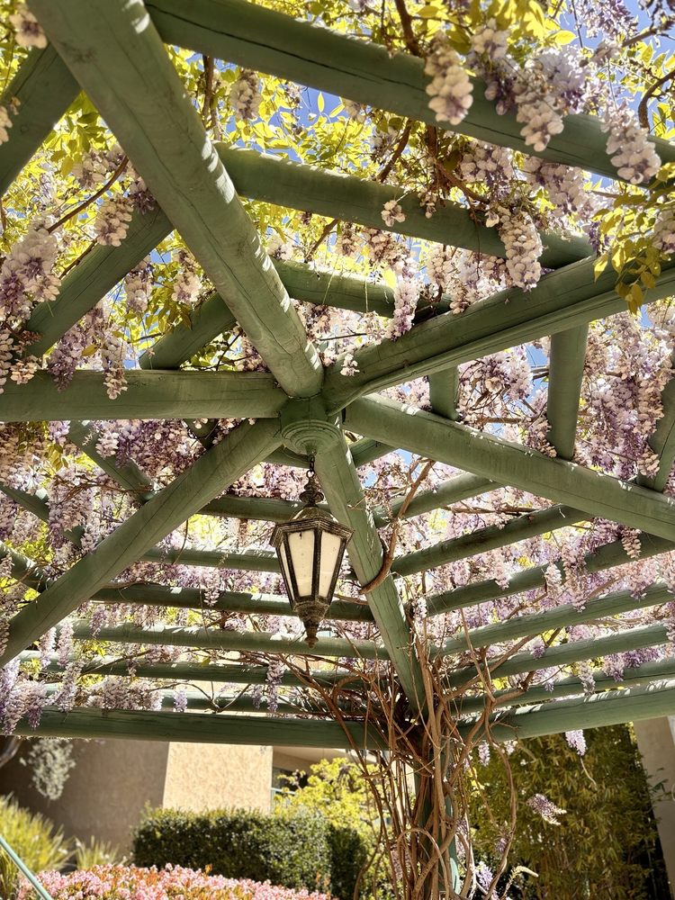 STONEYBROOK VILLAS HOME OWNER ASSN - Updated October 2025 - 12 Reviews ...