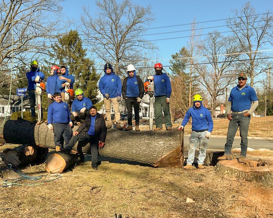 ORTEGA’S TREE SERVICE - Updated January 2026 - 34 Photos - 1344 Spring ...
