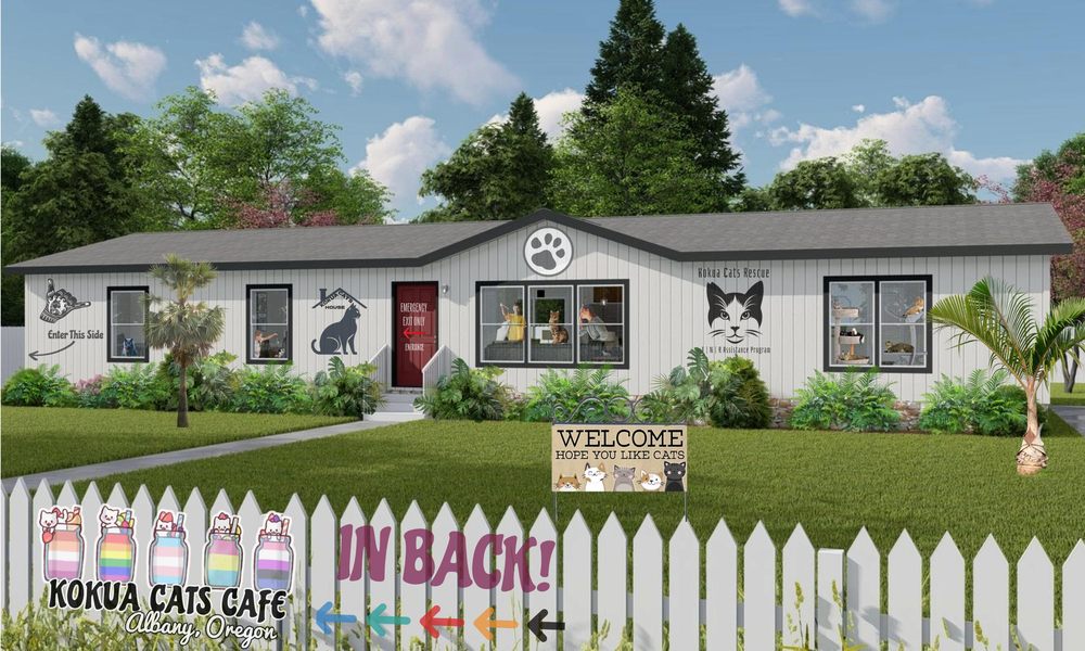 KOKUA CATS - Updated December 2025 - Request Information - 170 SW Wake Robin Ave, Corvallis ...