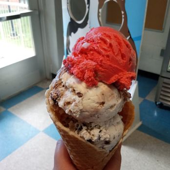 UCONN DAIRY BAR - Updated September 2024 - 381 Photos & 315 Reviews ...