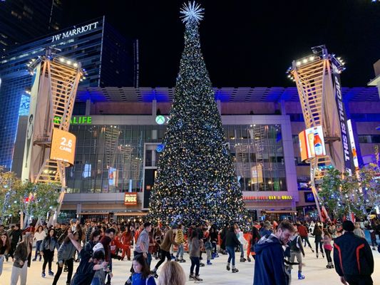LA KINGS HOLIDAY ICE - LA LIVE - 310 Photos & 56 Reviews - 800 W ...