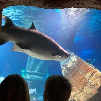 LONG ISLAND AQUARIUM - Updated May 2025 - 1157 Photos & 333 Reviews ...