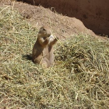 OCHSNER PARK & ZOO - Updated August 2025 - 40 Photos & 25 Reviews - 903 ...