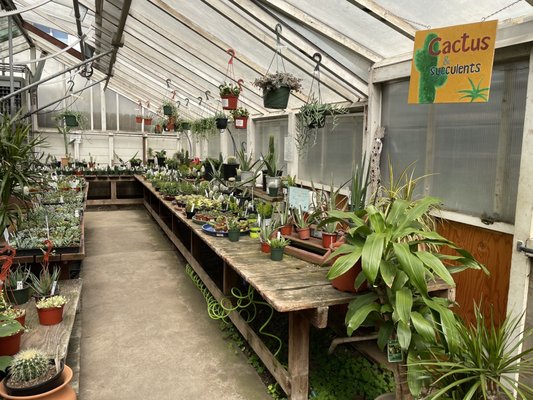 ENCINAL NURSERY - Updated April 2025 - 316 Photos & 195 Reviews - 2057 ...