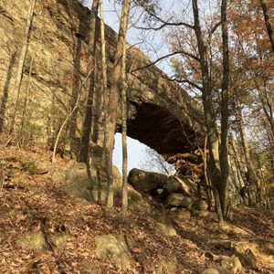 NATURAL BRIDGE STATE PARK - 578 Photos & 70 Reviews - 2135 Natural ...