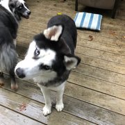 LAKE JOHNSON PARK | 273 Photos & 141 Reviews - 4601 Avent Ferry Rd ...