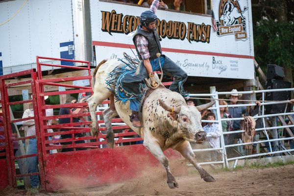 NEW ENGLAND RODEO - Updated October 2025 - 14 Photos - 185 N Washington ...