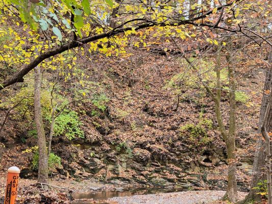 OVERBROOK RAVINE PARK - Updated October 2025 - 100 Overbrook Dr ...