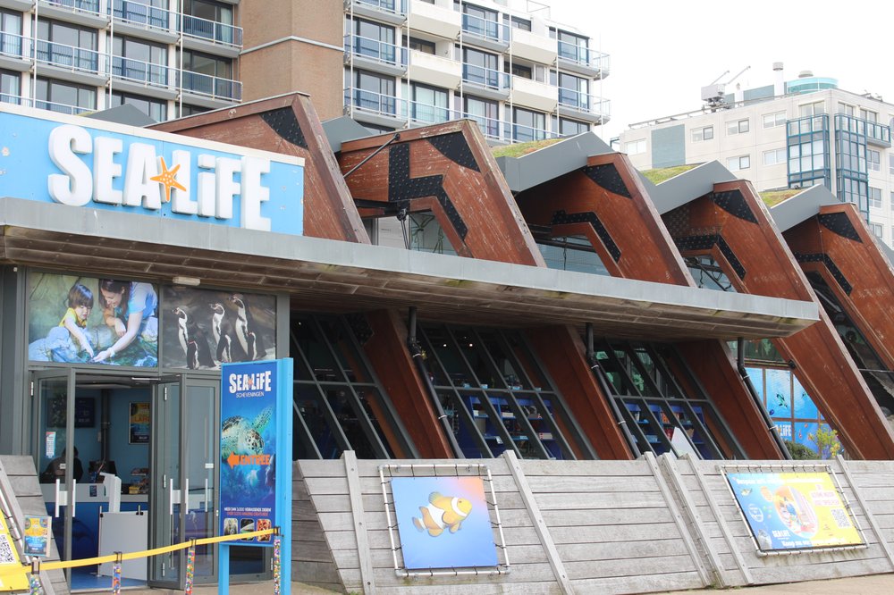 SEA LIFE CENTRE SCHEVENINGEN - Updated March 2025 - 192 Photos ...