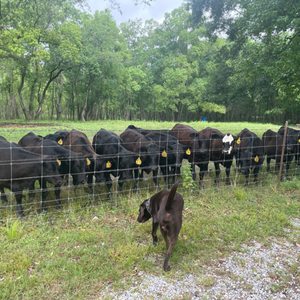 KICK BACK RANCH & EVENT CENTER - Updated October 2025 - 18 Photos - 414 ...