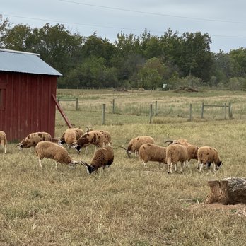 TEMPLE HALL FARM PARK - Updated October 2025 - 57 Photos & 25 Reviews ...