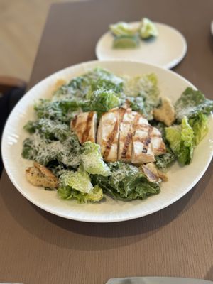 TREO KITCHEN & BAR - Updated July 2025 - 63 Photos & 20 Reviews - 1000 ...