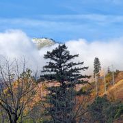 BELDEN TOWN & LODGE RESORT - 40 Photos & 43 Reviews - 14785 Belden Town ...