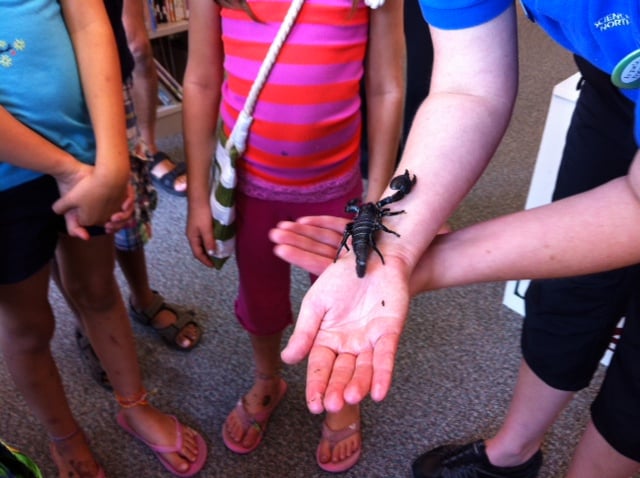 NORTH BAY PUBLIC LIBRARY - Updated October 2024 - 14 Photos - 271 ...