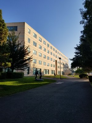 SAN FRANCISCO STATE UNIVERSITY - 350 Photos & 313 Reviews - 1600 ...