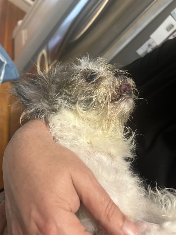 ADER PATRICIA DR - Updated October 2025 - 38 Reviews - 135 Meadow St ...