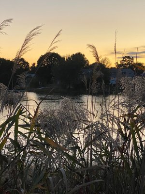 SOMERSET CREAMERY - Updated February 2025 - 71 Photos & 122 Reviews ...