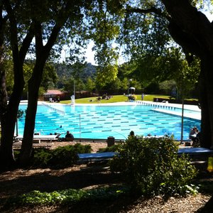 OAK SPRINGS POOL - Updated June 2025 - 23 Photos - 39 Spring Rd, Orinda, California - Swimming ...