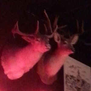 SIDEKICKS SALOON - 13 Reviews - Gay Bars - 3707 Main St, Kansas City ...