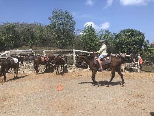 GOLDEN AGE RANCH - Updated August 2025 - St Thomas, Virgin Islands ...