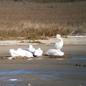 POINT MUGU RV PARK - Updated August 2025 - 31 Photos - 311 Main Rd ...