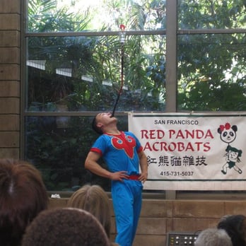 RED PANDA ACROBATS - Updated December 2025 - San Francisco, California ...