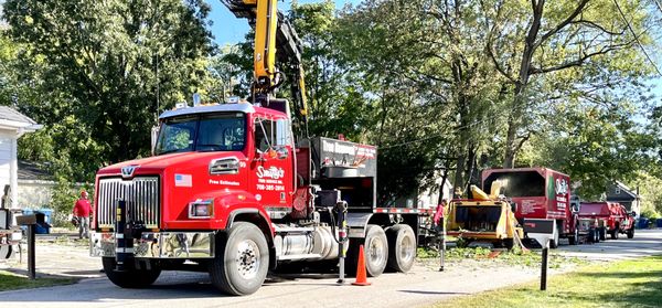 SMITTY’S TREE SERVICE - Updated October 2025 - 84 Photos & 61 Reviews ...