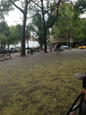 FATHER FAGAN PARK - Updated May 2024 - 200 6th Ave, New York, New York ...