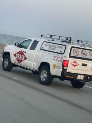 ORKIN - Updated March 2025 - 42 Photos & 37 Reviews - 819 Cowan Rd ...