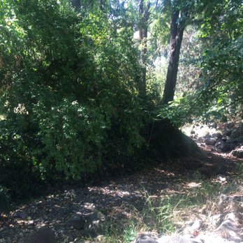 MARKHAM NATURE PARK & ARBORETUM - Updated December 2025 - 292 Photos ...