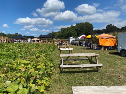 FRYES CREEK FAMILY FARM - 9970 N NC Hwy 150, Clemmons, North Carolina ...